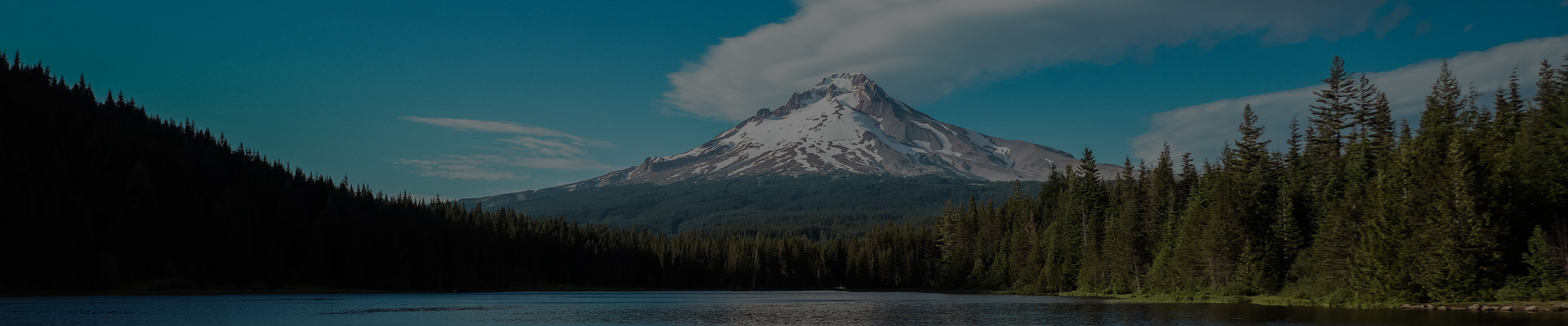 Land Surveying - Oregon State Certified Water Rights Examiner