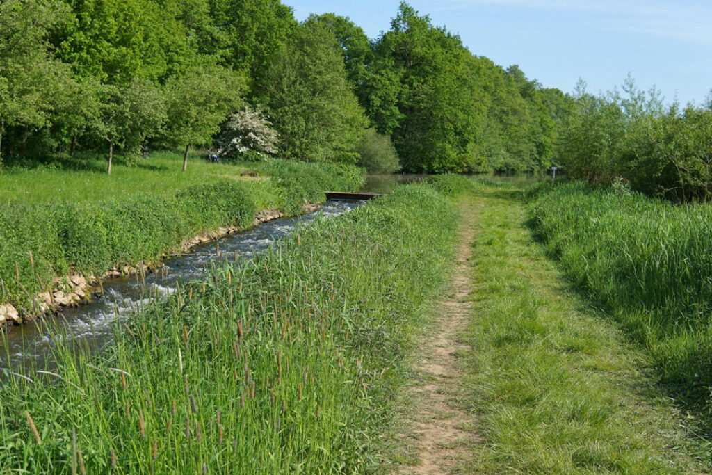 A Beginner’s Guide to Filing a New Water Right Application in Oregon - Oregon State Certified ...